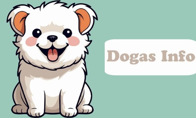 Ứng dụng Dogas Info là gì? Cách tải chi tiết, miễn phí
